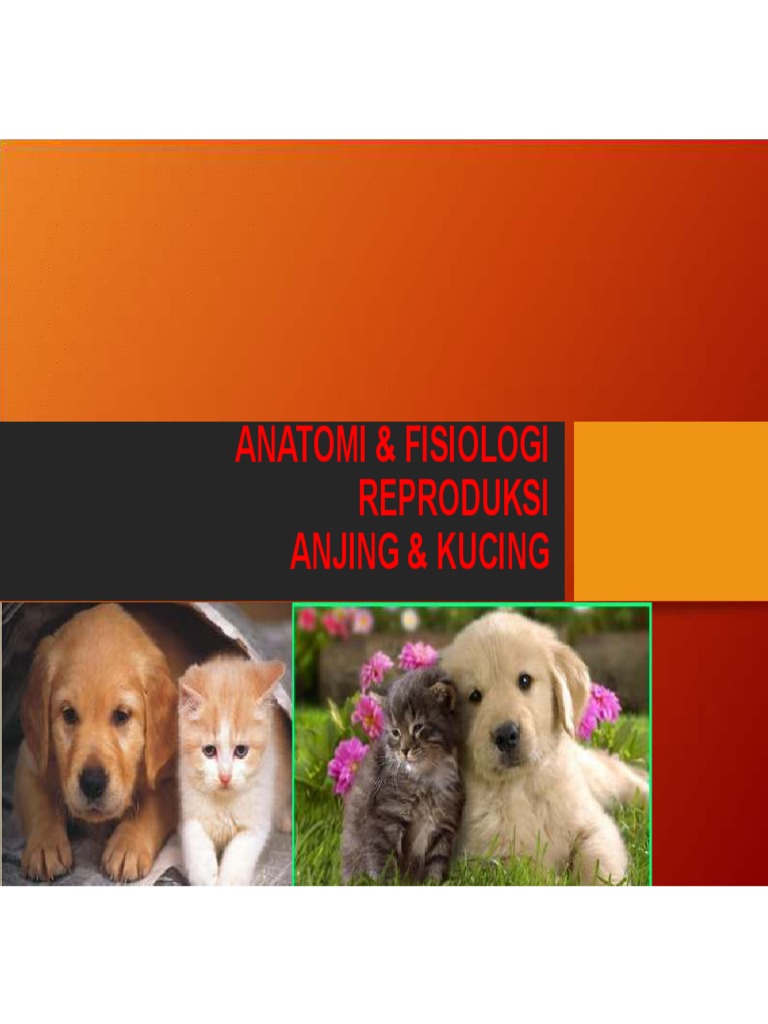 Anatomi Fisiologi Anjing Kucing | PDF | Kesehatan Holistik