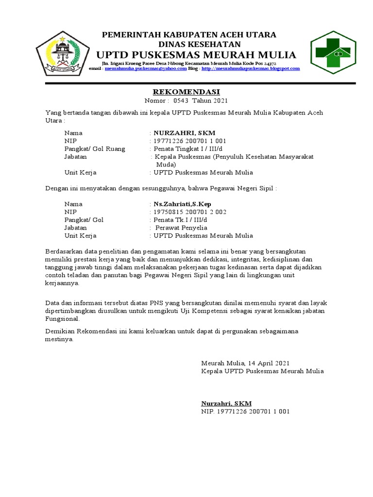 Surat Rekomendasi Jafung | PDF