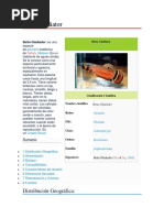 Panopea Generosa | PDF | Bivalvia