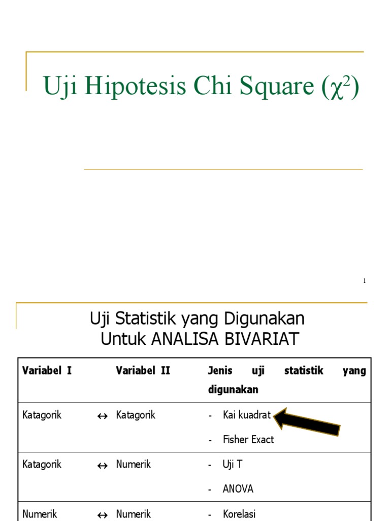 Uji Chi Square | PDF