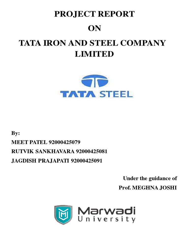 An Analysis of Tata Iron and Steel Company Limited: Examining its ...