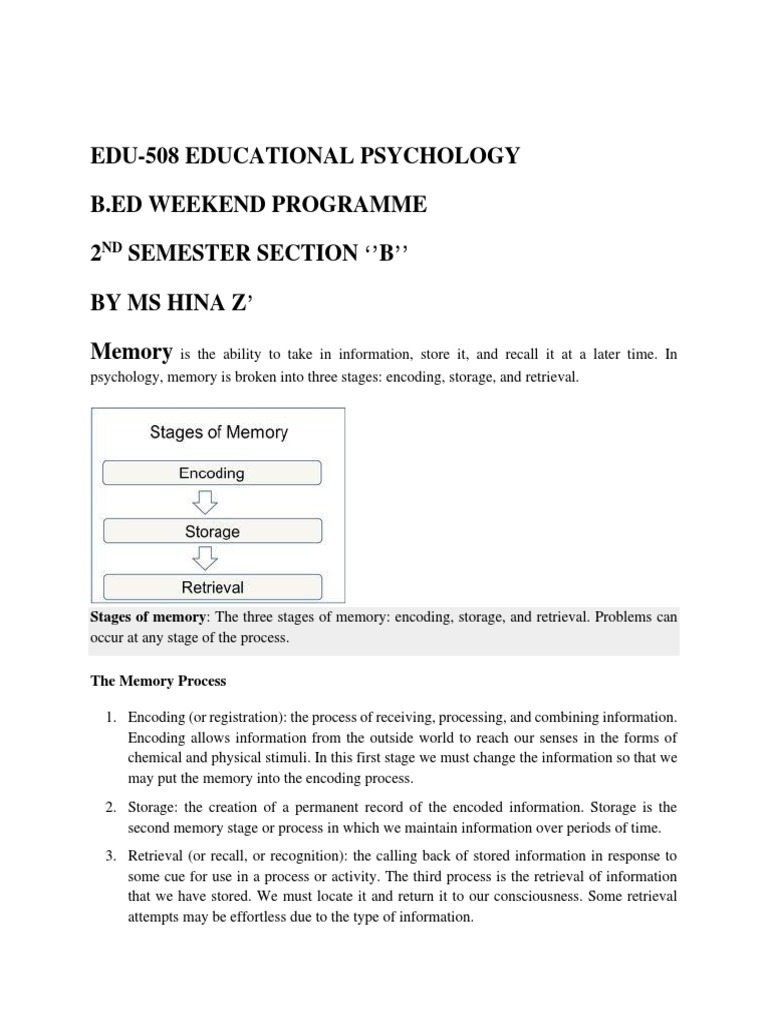 Memory and Forgetting | PDF | Amnesia | Memory