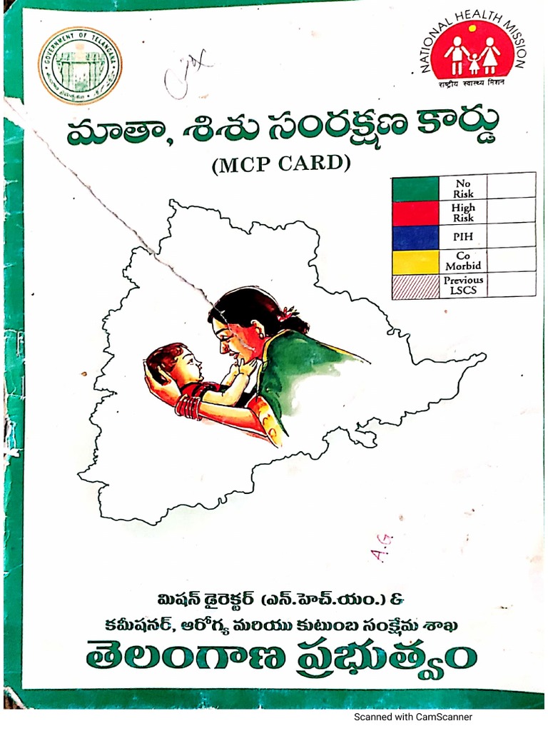 MCP Card | PDF