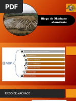 Fenologia de La Cebada | PDF | Cebada | Agricultura