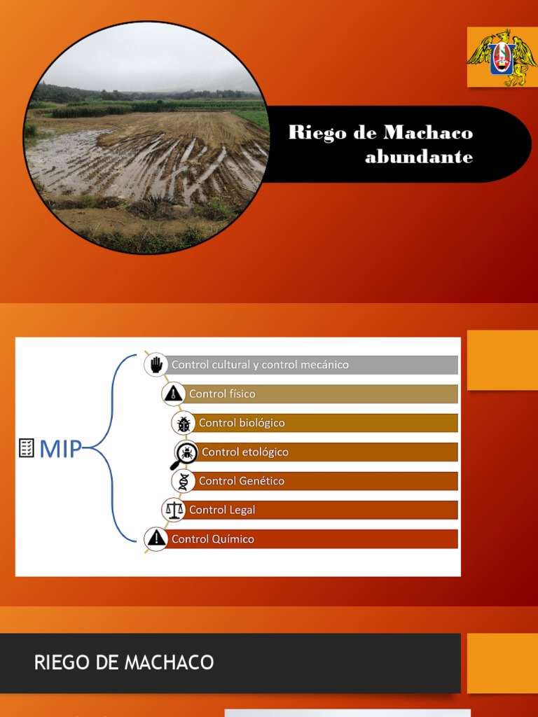 Riego de Machaco o Abundante | PDF