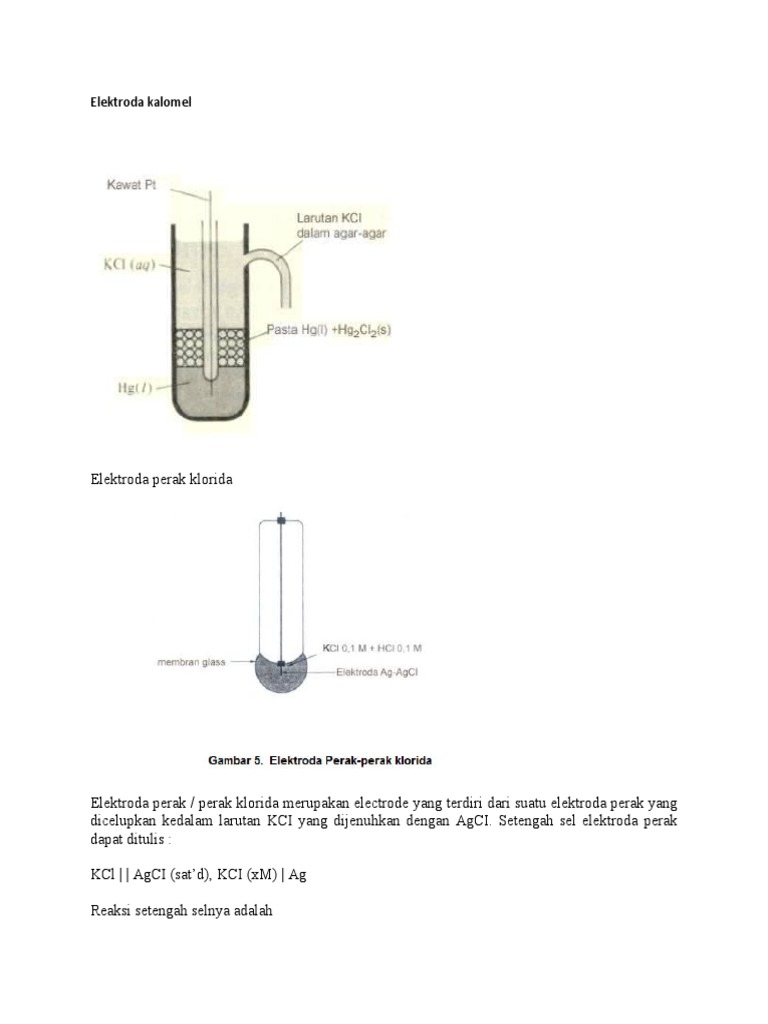 Elektroda Kalomel | PDF | Metode & Bahan Ajar | Sains & Matematika