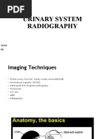 CT Urography: Techniques & Protocols | PDF | Ct Scan | Kidney
