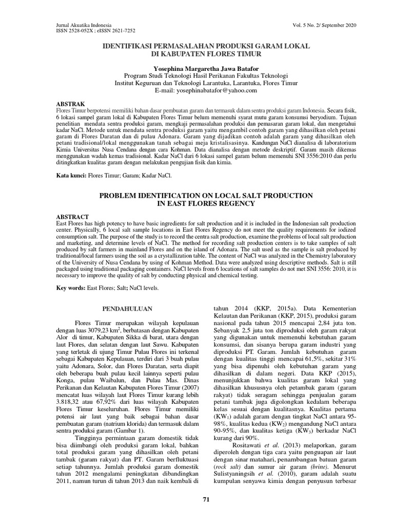 Local Salt Production Problems in East Flores Regency | PDF | Sodium ...