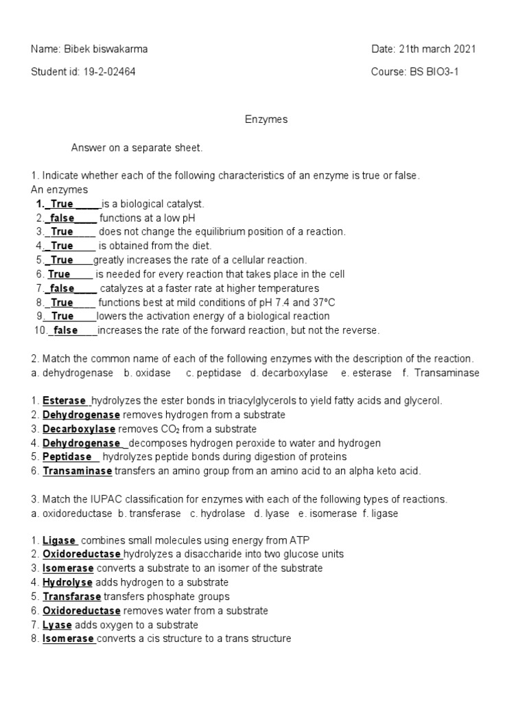 Enzymes Assignment | PDF | Hydrolysis | Enzyme
