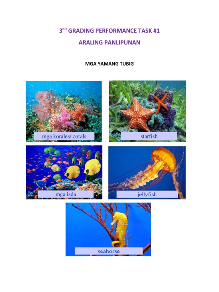 3rd Grading Performance Task Chloe | PDF