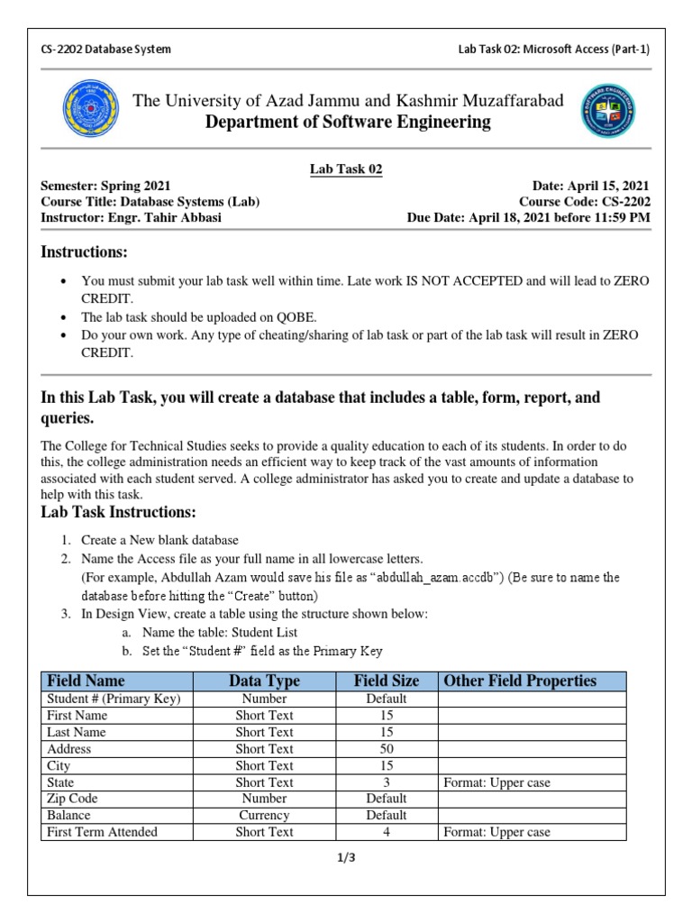 Lab Task 02 Pdf Microsoft Access Databases