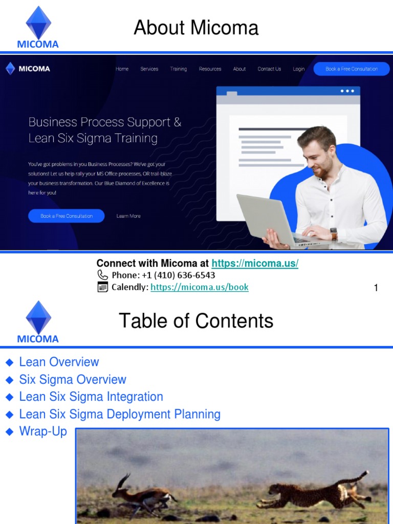 Lean Six Sigma Ebook | PDF | Six Sigma | Strategic Management