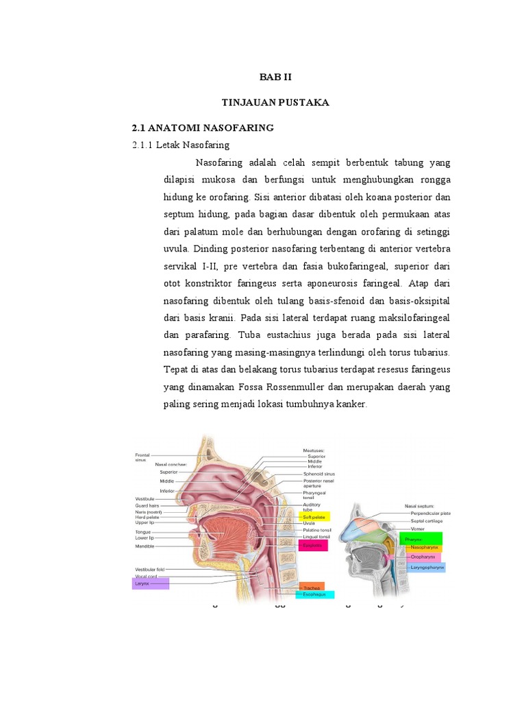 BAB II Karsinoma Nasofaring | PDF | Sains & Matematika