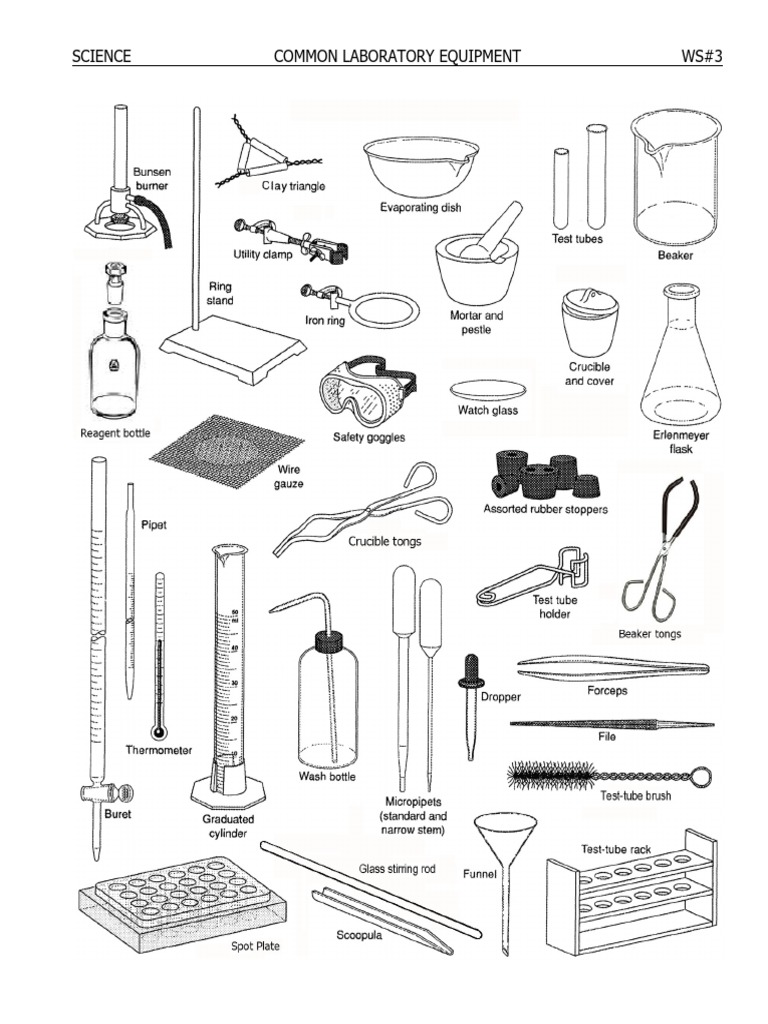 Lab Equipment Worksheet | Download Free PDF | Laboratory Equipment ...