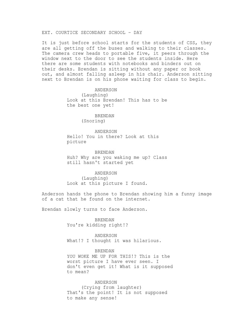 Script Mockumentary Screenplay | PDF | Language Arts & Discipline