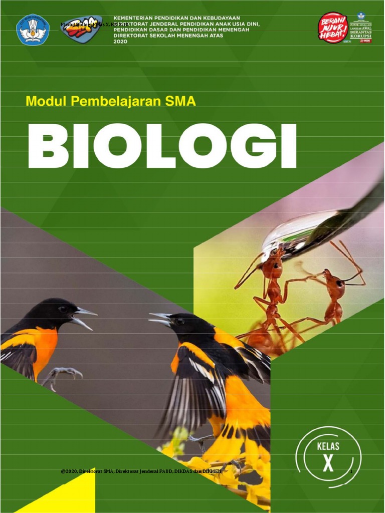 Modul Bio X 3.10 | PDF | Kesehatan Holistik