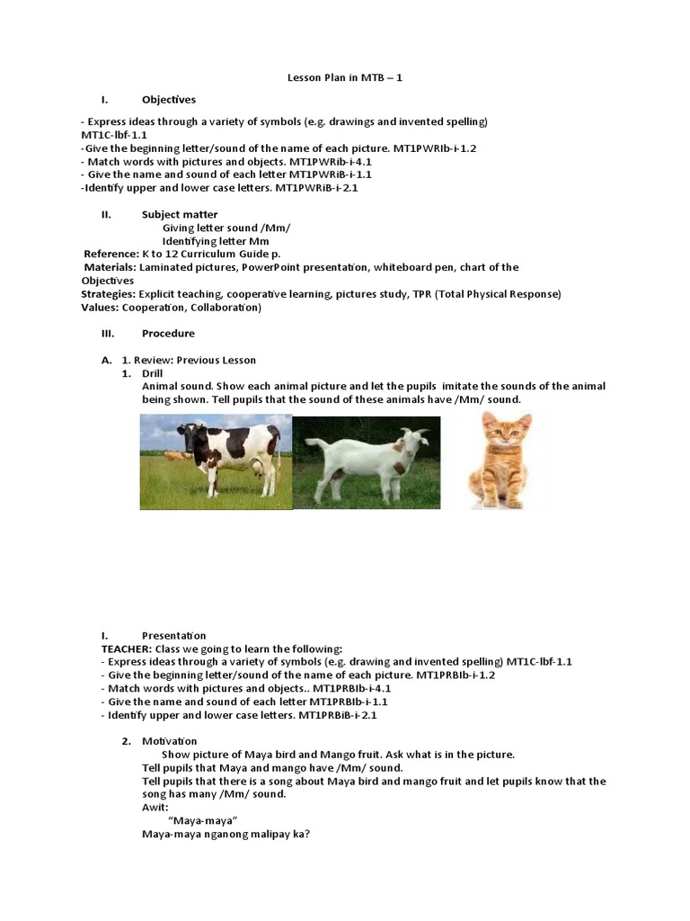 Lesson Plan in MTB | PDF | Lesson Plan | Teaching