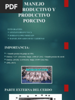 Sistema de Producción de Leche en Granjas Bovinas Familiares | PDF | Vacas | Leche