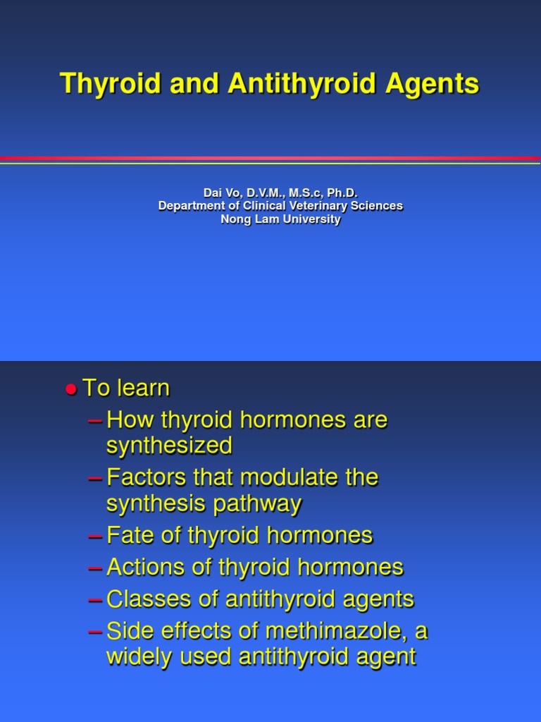 DR - Dai-Thyroid Antithyroid Drugs | PDF | Hyperthyroidism | Thyroid ...