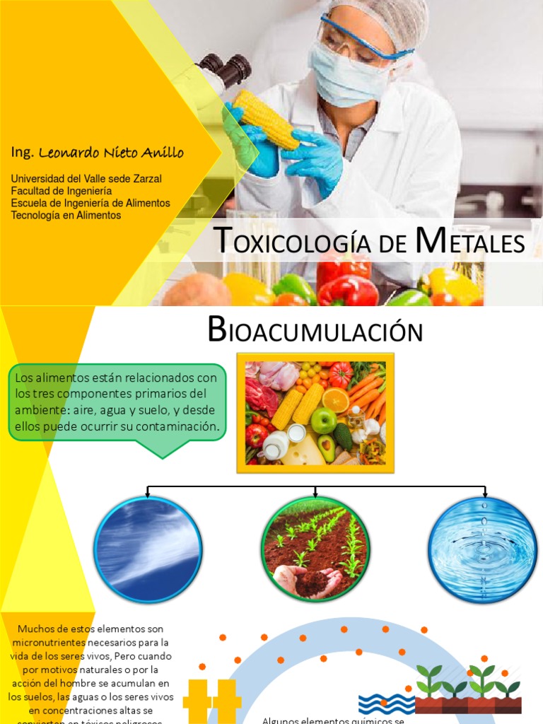 Toxicología de Metales Pesados | PDF | Mercurio (Elemento) | Cadmio