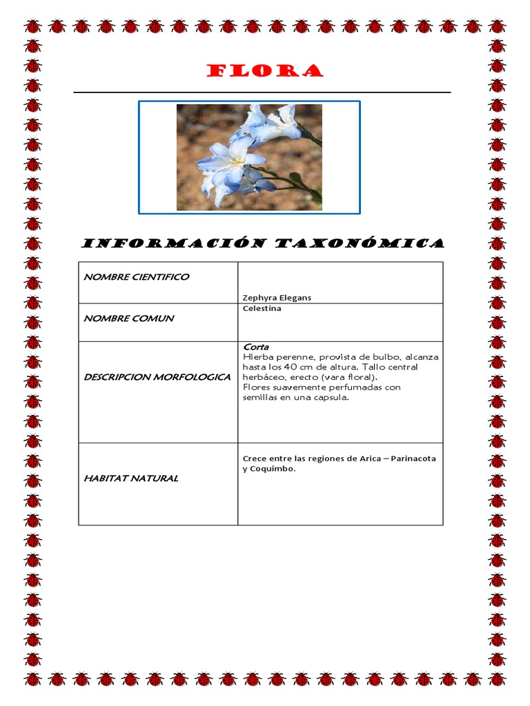 Ficha para Album Flora | PDF | Forma de vida vegetal | Arboles