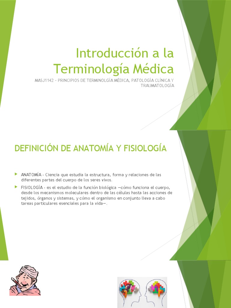 Introducción A La Terminología Médica Definiciones Clave De Anatomía