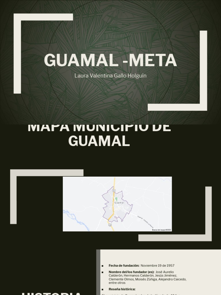 Guamal Meta | PDF | Agricultura