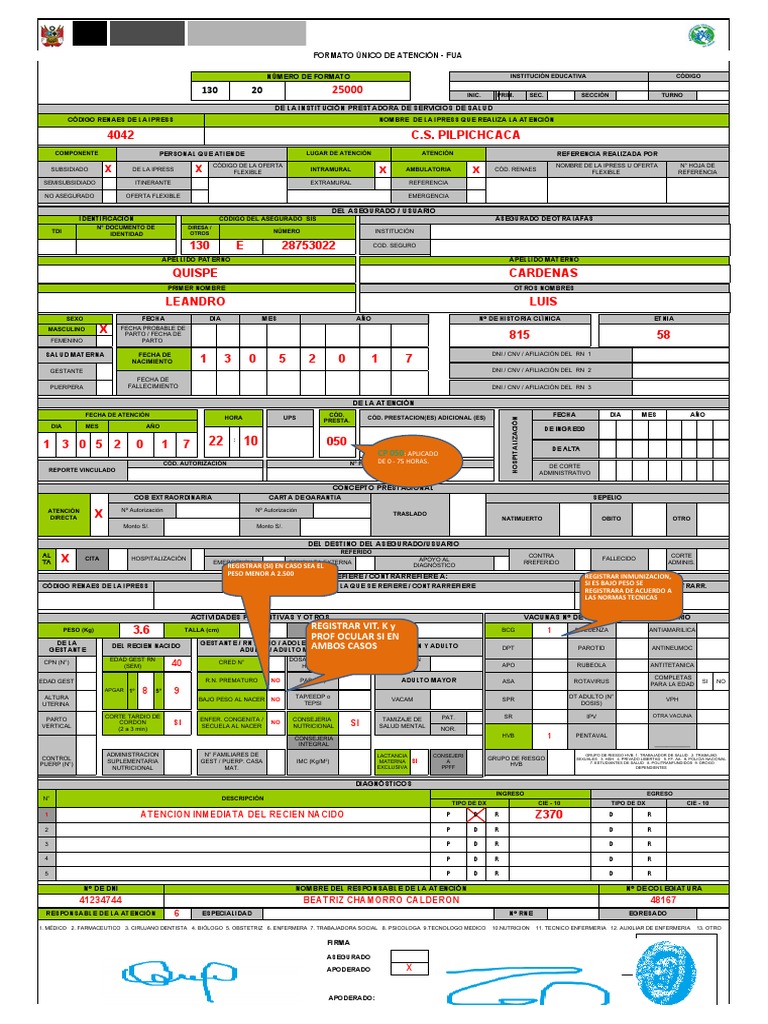 CORRECTO LLENADO DE FUAS SIS 2020 Elvis AQ | PDF | Especialidades ...