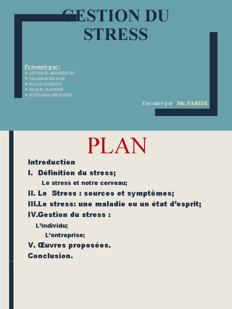 Gestion Du Stress | PDF