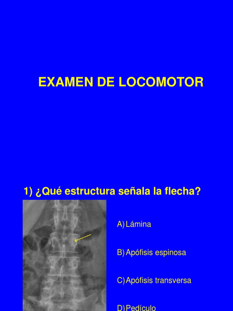 Examen de Anatomía del Sistema Locomotor | PDF | Mano | Sistema ...