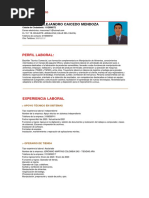 Hoja de Vida - BDC3 | PDF