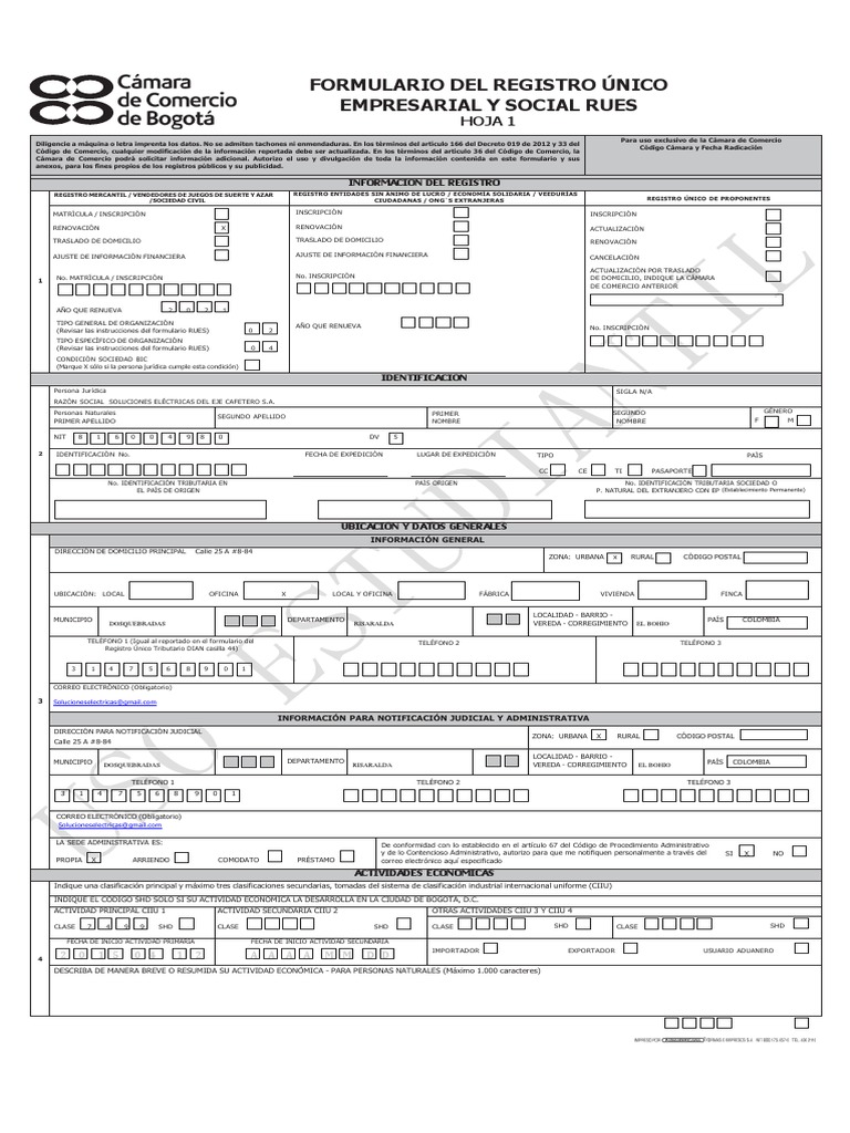 Formulario Rues Hojas 2 | PDF | Business | Economias