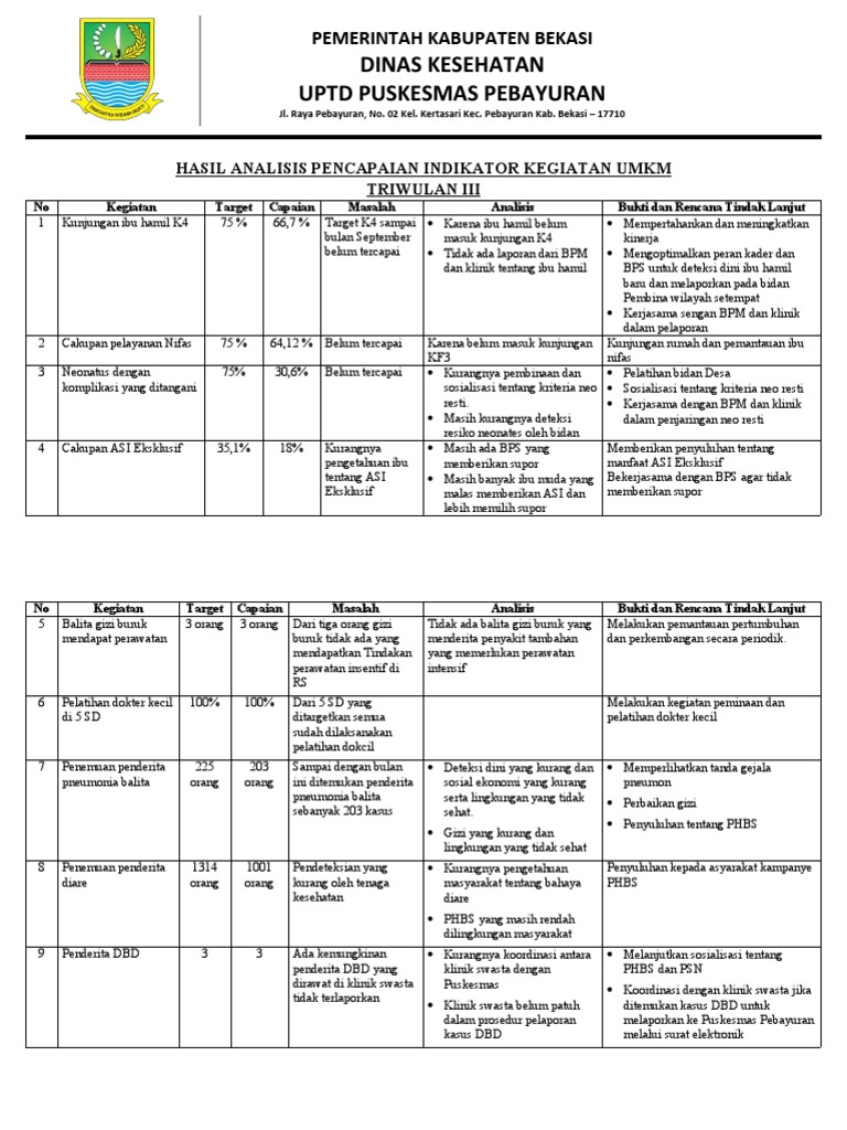 Hasil Analisis Pencapaian Indikator Kegiatan Umkm | PDF