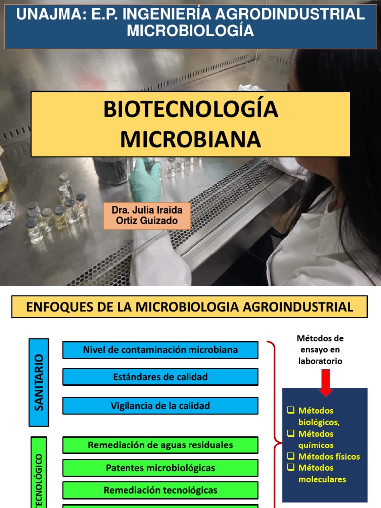 Sesion Viii Fundamentos de Biotecnología Microbiana | PDF | Biotecnología | Ingeniería genética