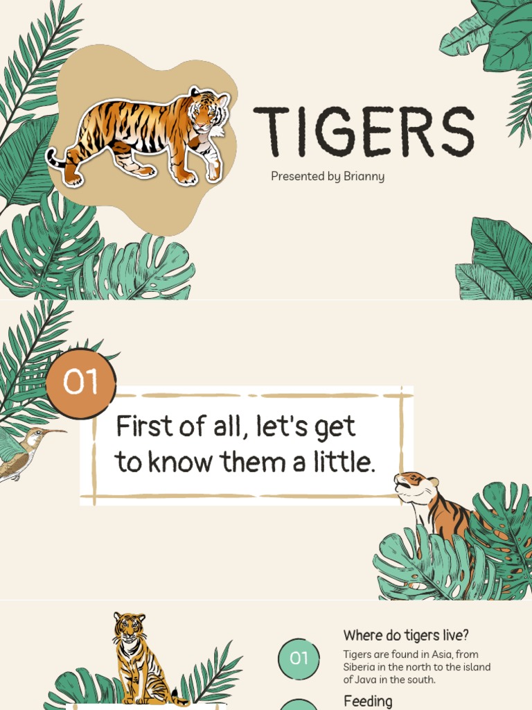 Tiger Facts for Wildlife Enthusiasts | PDF | Science & Mathematics