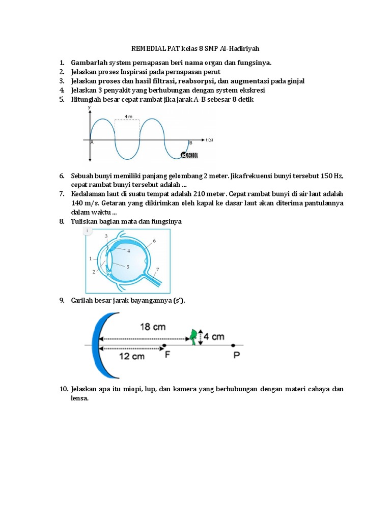 Remedial PAT IPA Kelas 8 | PDF