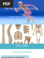 12 Sistem Organ Tubuh Manusia Beserta Gambar Dan Fungsinya | PDF