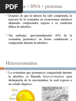 Colorantes Histológicos Más Comunes | PDF | Tinción | Biología Celular