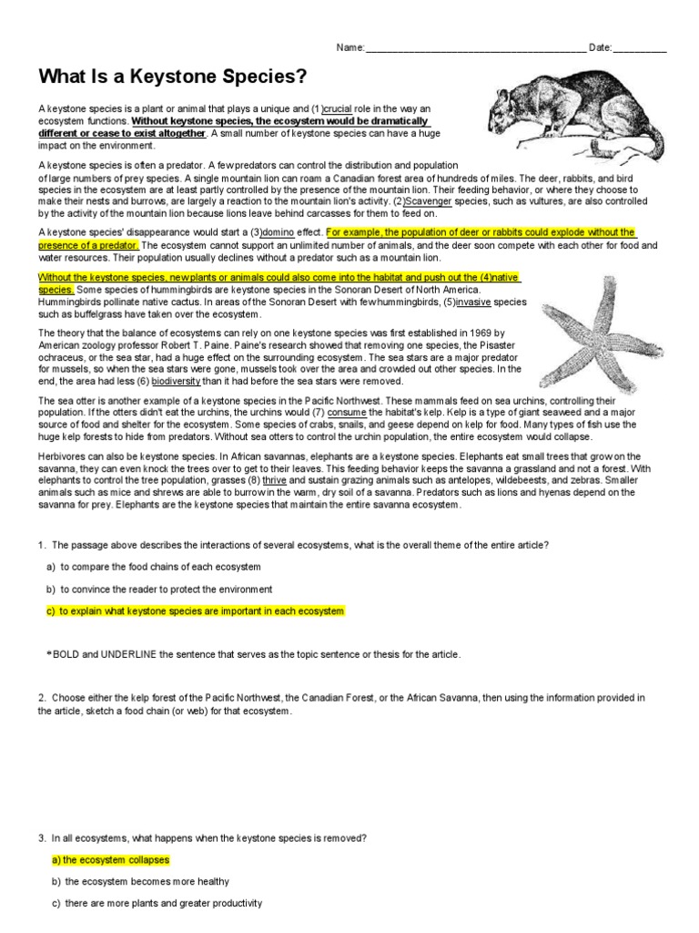Article - What Is A Keystone Species | PDF | Ecology | Organisms