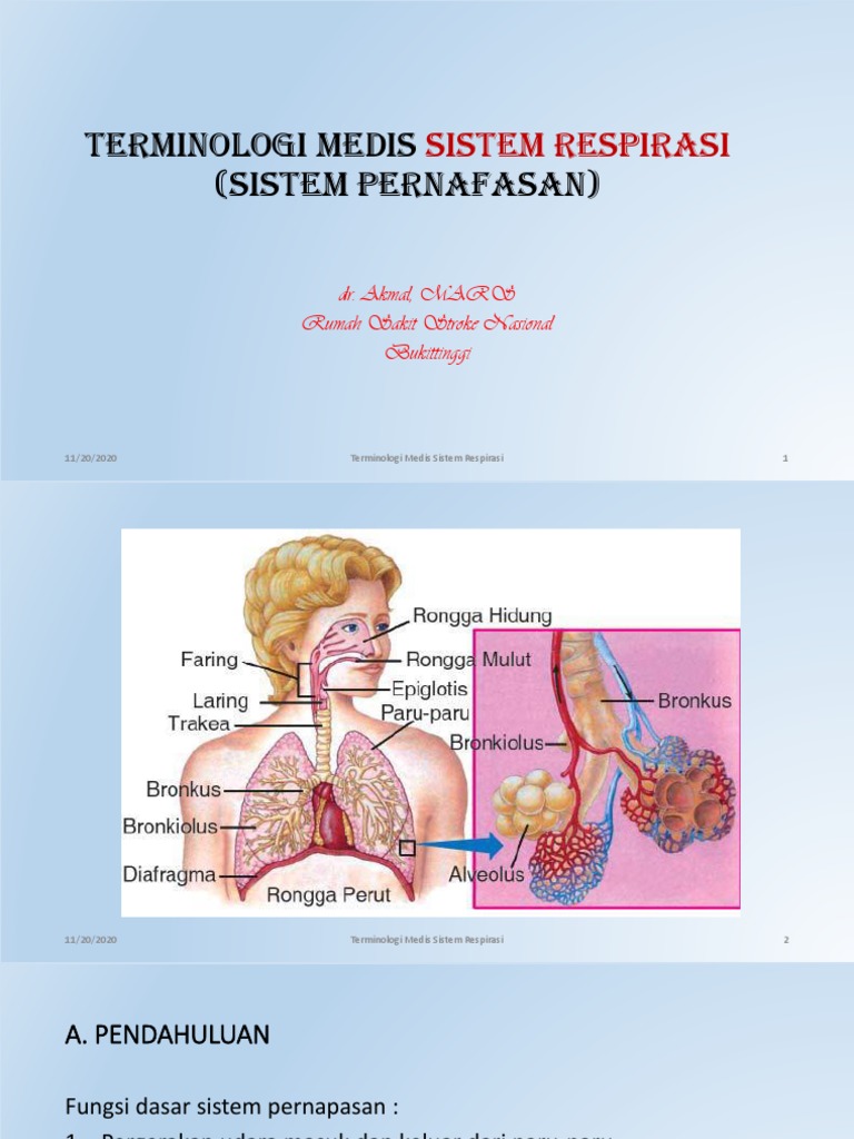 Terminologi Medis Sistem Respirasi | PDF | Seni | Sains & Matematika