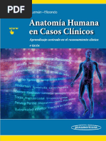 Guía de Reparos Anatómicos Óseos | PDF