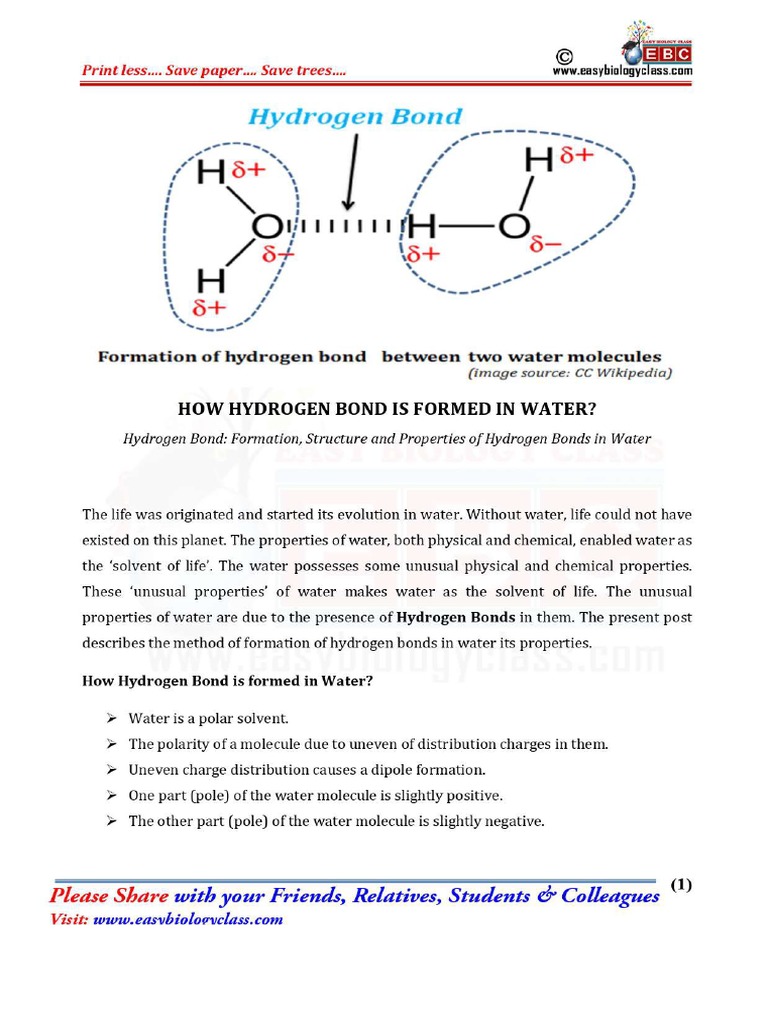 Hydrogen Bonds in Water Lecture Notes PDF | PDF | Science & Mathematics