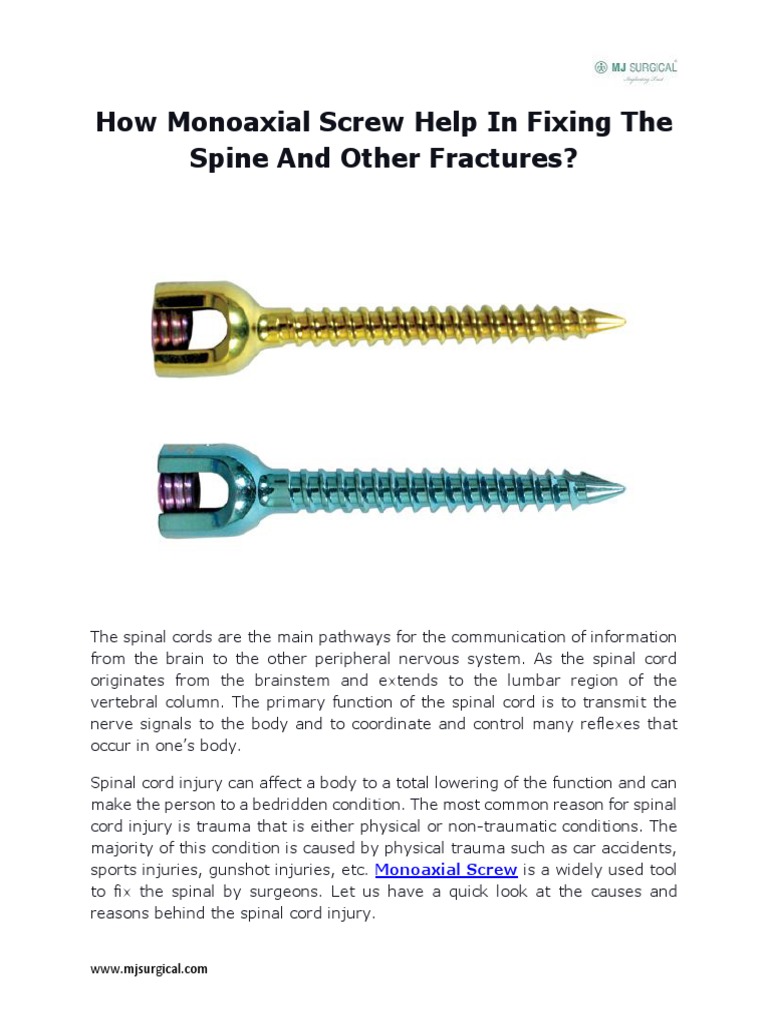 How Monoaxial Screw Help in Fixing The Spine and Other Fractures | PDF ...