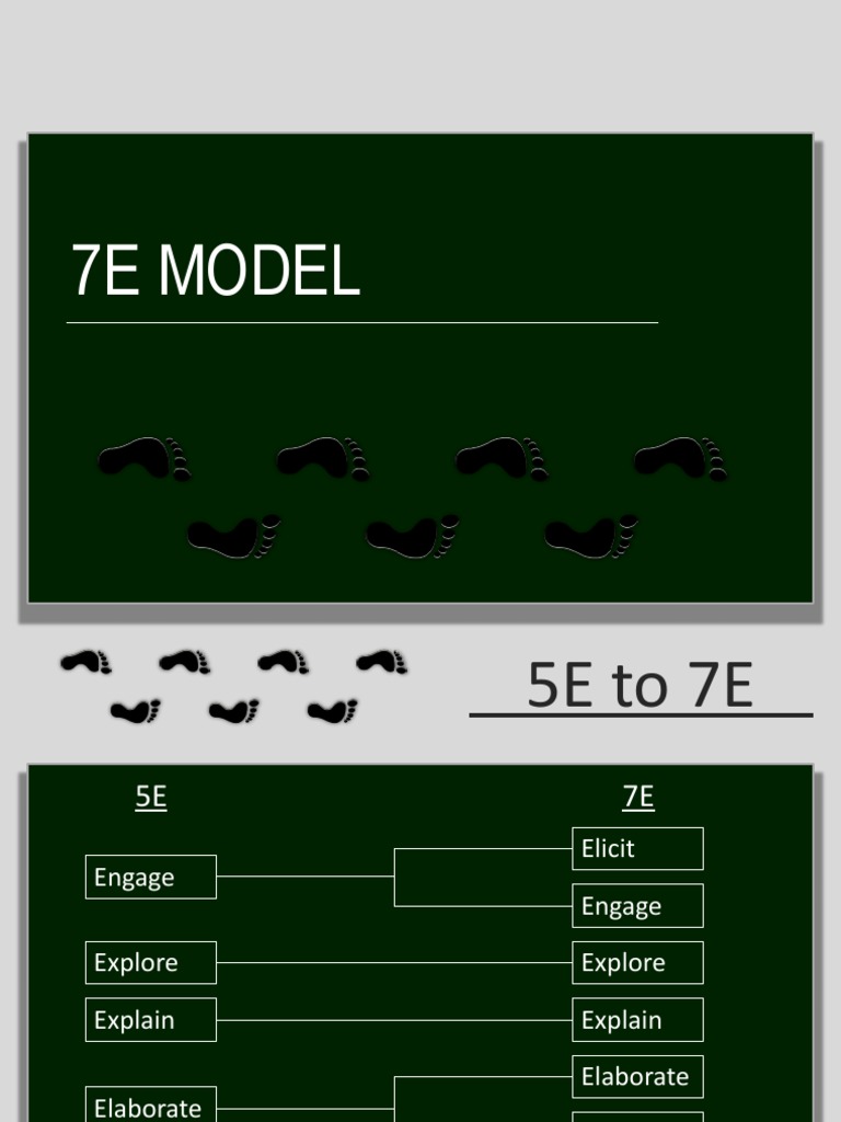 7e Model | Download Free PDF | Seat Belt | Science