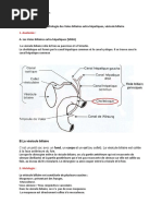 Segmentation Hépatique: Concepts Clés | PDF | Foie | Morphologie (Biologie)