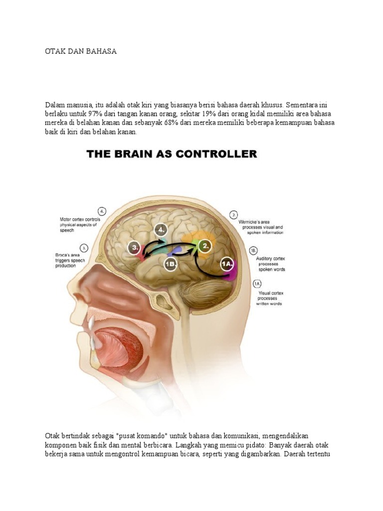 Otak Dan Bahasa | PDF