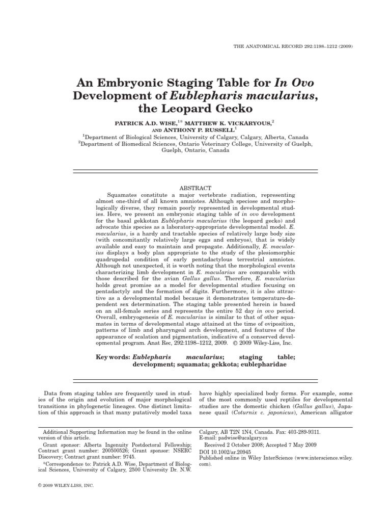 Leopard Gecko Embryonic Development Staging | PDF | Anatomical Terms Of ...