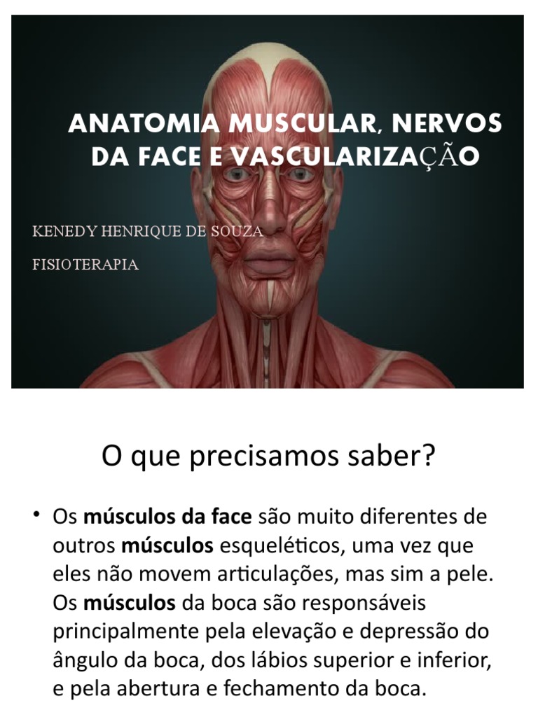 ANATOMIA MUSCULAR E NERVOSA DA FACE Curso | PDF | Rosto | Olho humano