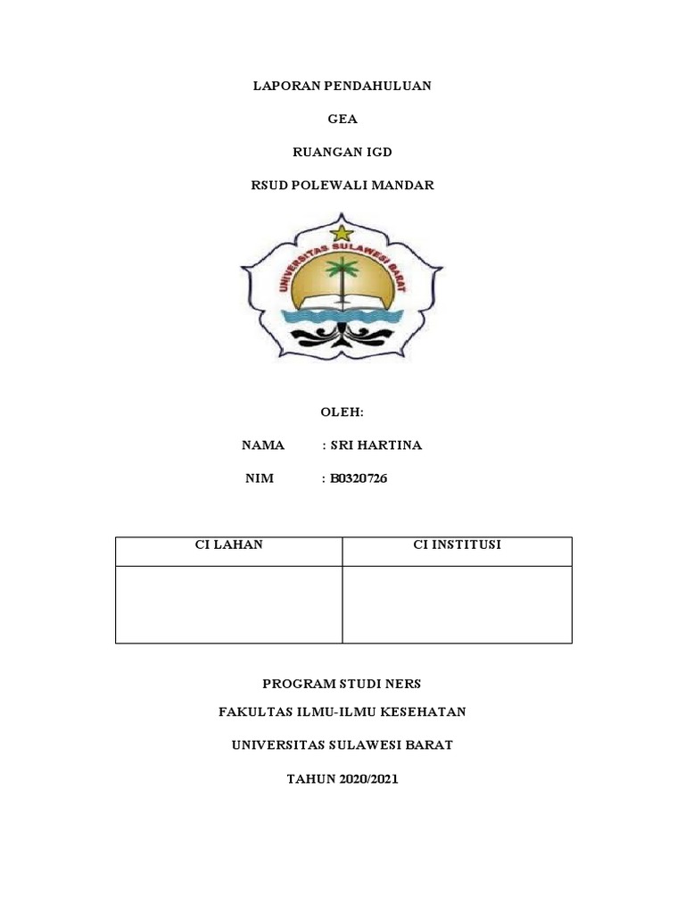 LP Igd | PDF | Kesehatan Holistik