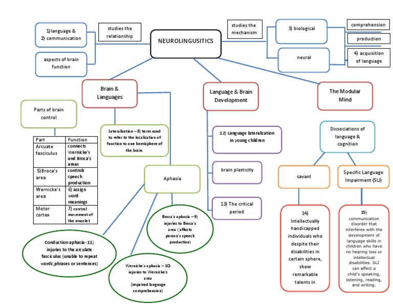 Neural Mechanisms of Language Comprehension and Production: A Neuroscientific Analysis of Broca ...